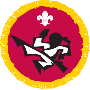 Cub Badges – Scouts