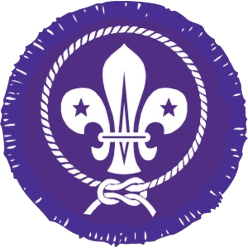Cub Badges – Scouts
